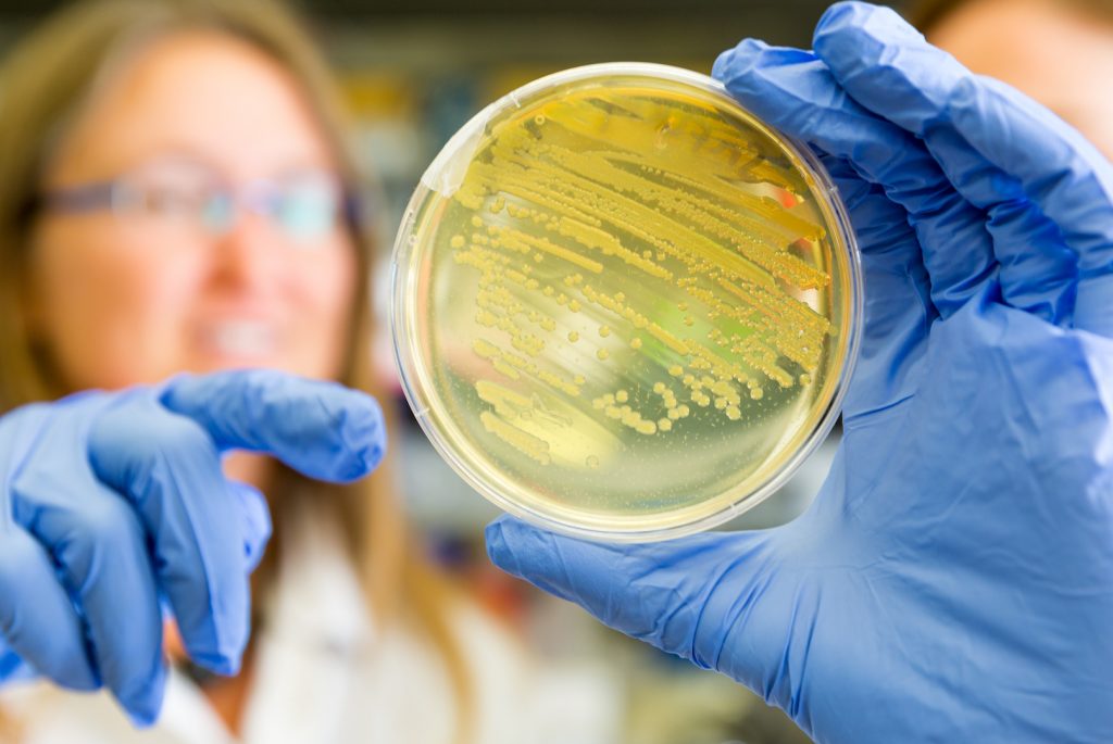 Graduate Programs - UC Irvine Dunlop School Department of Developmental ...